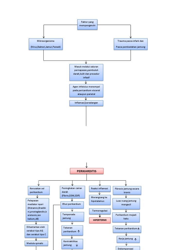 Perikarditis Pathway | PDF
