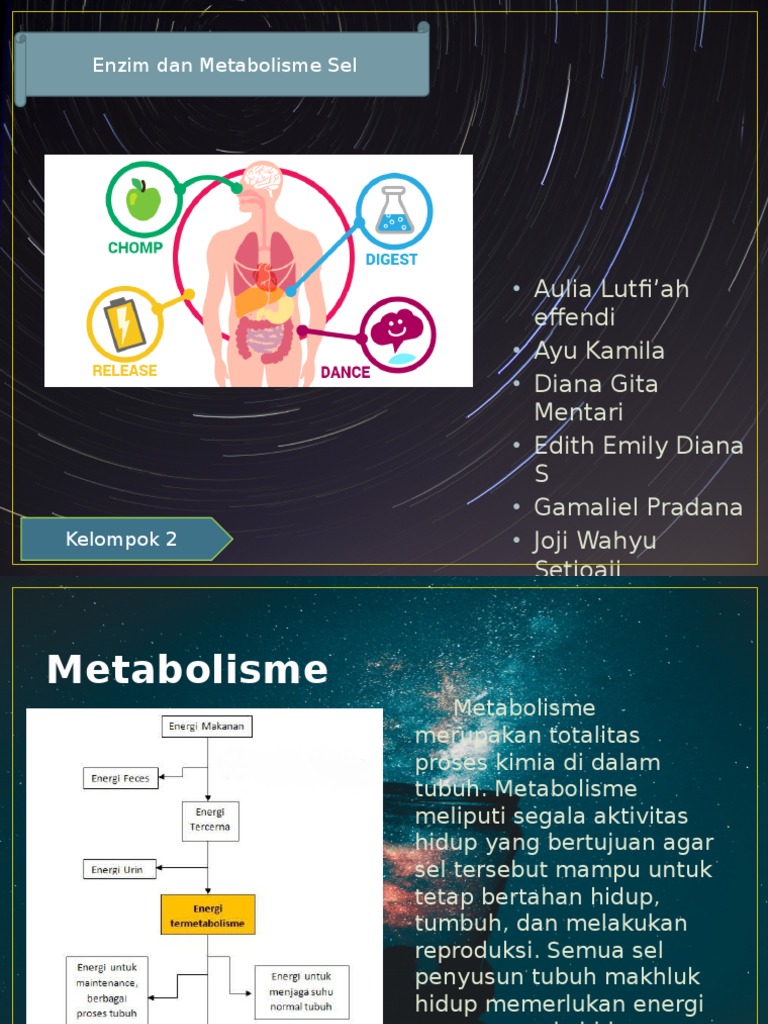 Enzim dan Proses Metabolisme Sel | PDF | Sains & Matematika