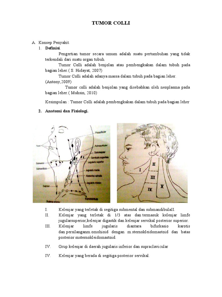 Tumor Colli | PDF