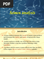 Male Reproductive System | PDF | Prostate | Reproductive System