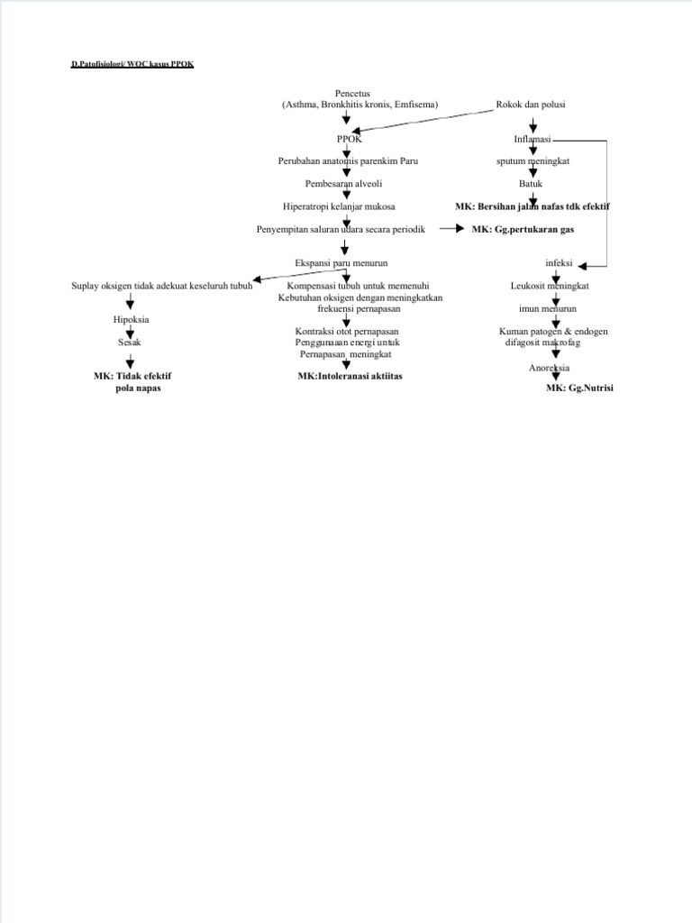 Dokumen - Tips - Woc Kasus Ppok | PDF