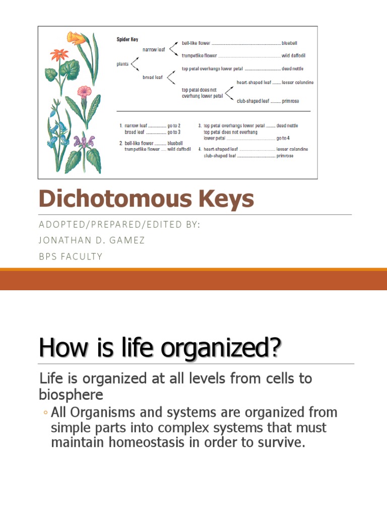 00-Dichotomous Key 2016 | PDF | Plants | Leaf
