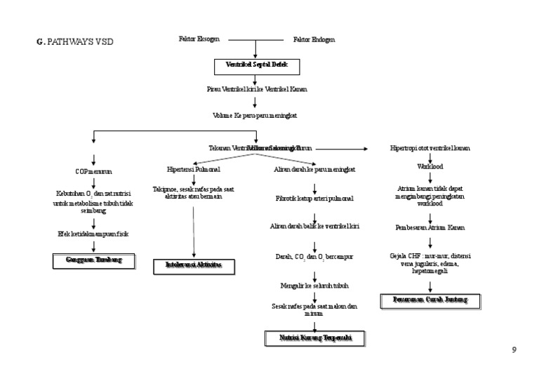 Pathway Ventrikel Septal Defek | PDF