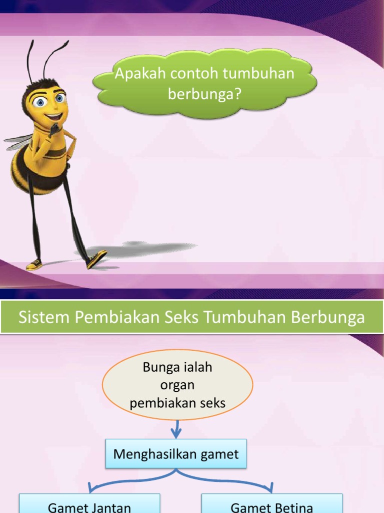 Pembiakan Bunga Debunga SCZ1064 | PDF