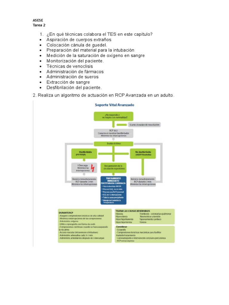 ASESE TAREA02oc | PDF | Procedimientos médicos | Electrocardiografia