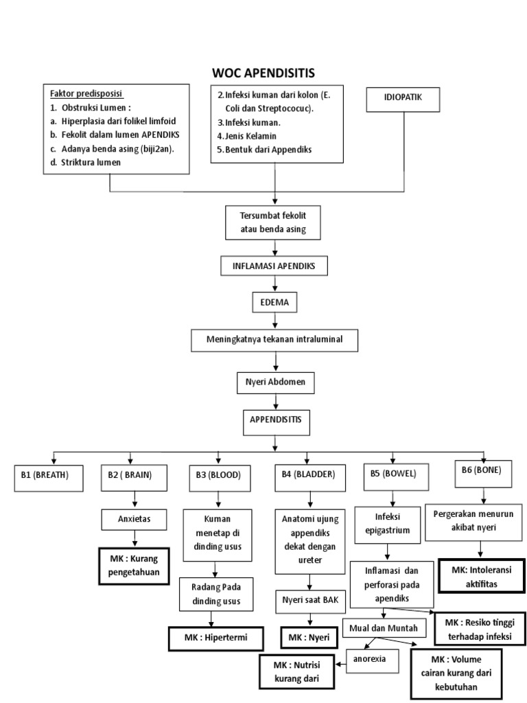 Woc Apendisitis | PDF