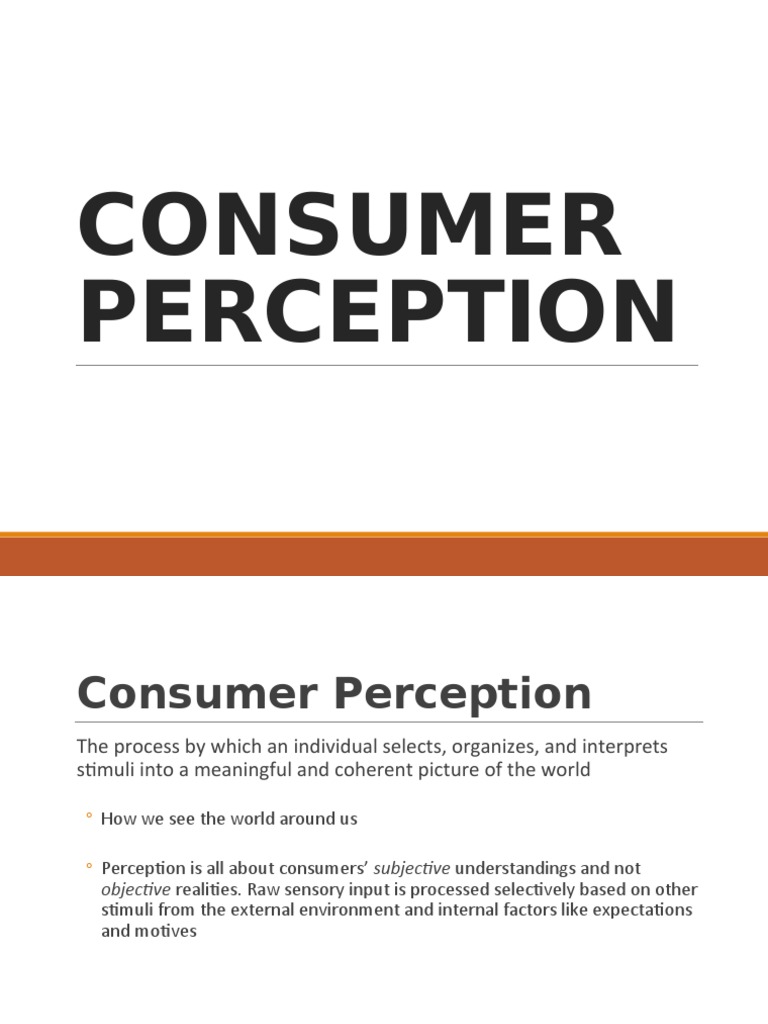 Consumer Perception | PDF | Perception | Pricing