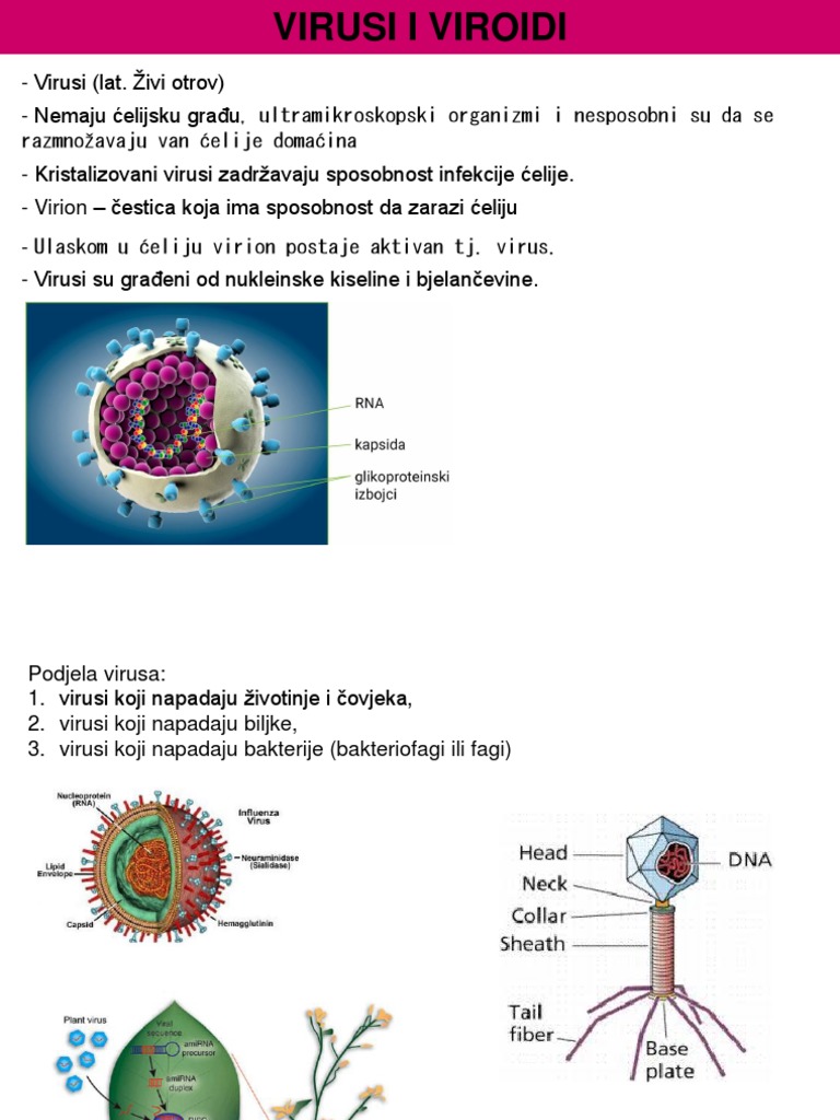 Virusi I Viroidi | PDF