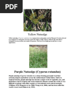 Weed Identification Guide | PDF | Clover | Leaf