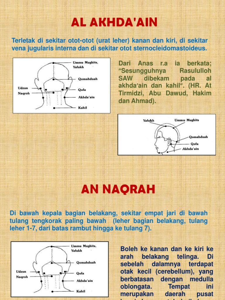 Send Titik Bekam | PDF