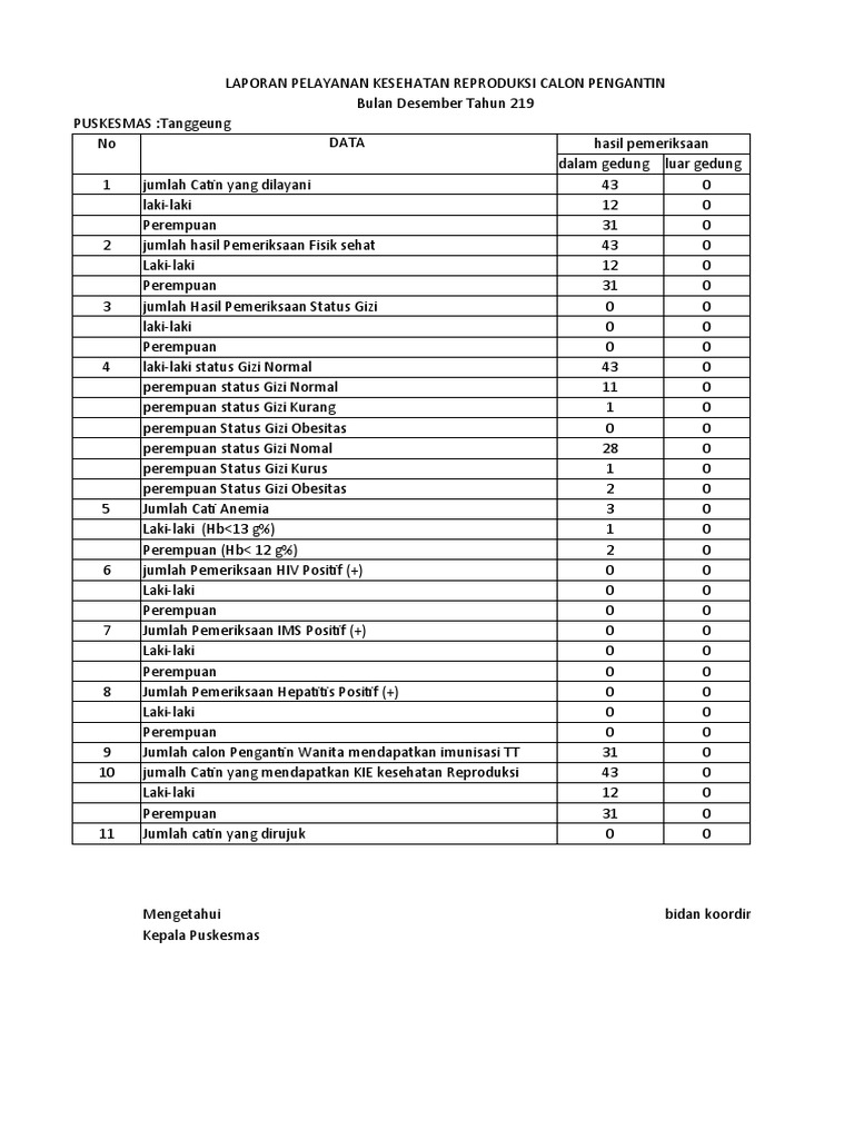 Format Laporan Catin Puskesmas Tanggeung 2019 | PDF