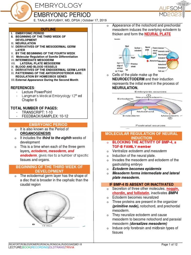Embryo If Embryonic Period PDF | PDF | Reproduction | Animal Anatomy