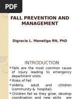 Fall Risk Assessment Form | PDF | Dementia | Medical Specialties