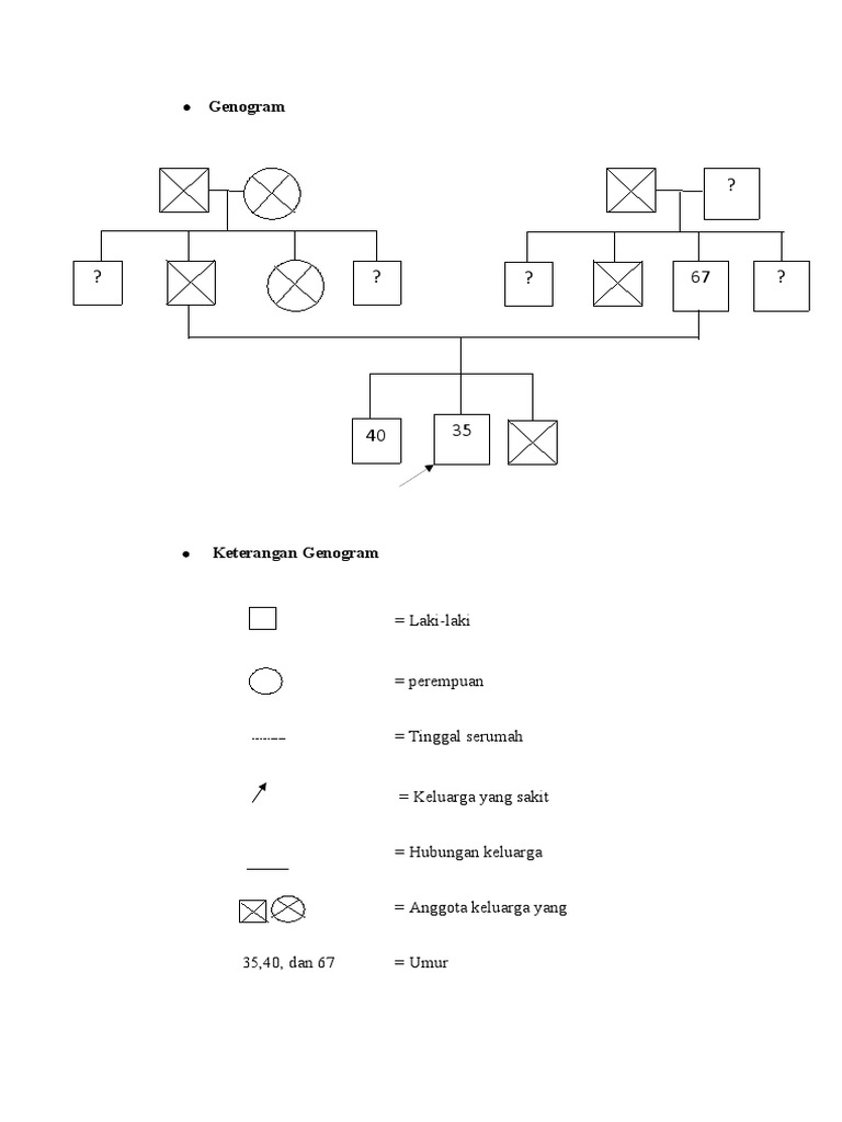 Genogram Lupus | PDF