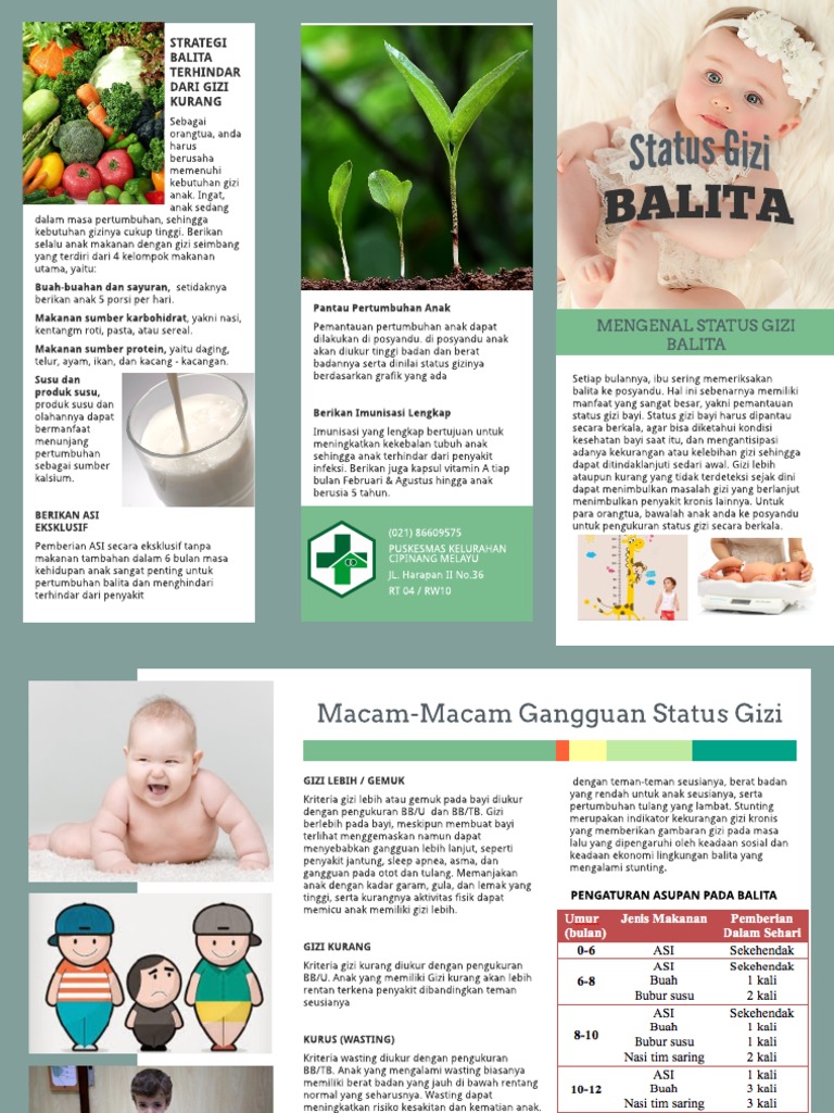 Status Gizi Balita Leaflet MINIPRO Elva | PDF | Kesehatan Holistik