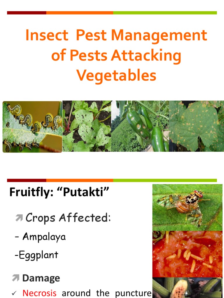 Insect Pest and Diseases Management 1st Day | PDF | Pest (Organism ...