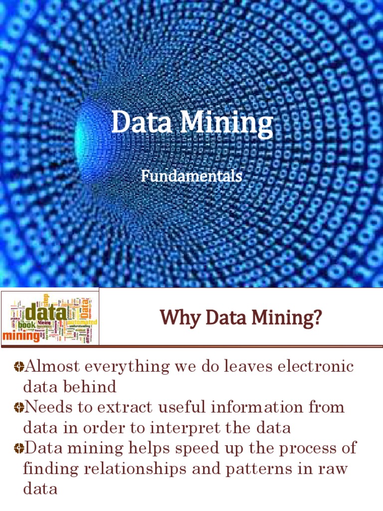 DM 1 PDF | PDF | Data Mining | Databases
