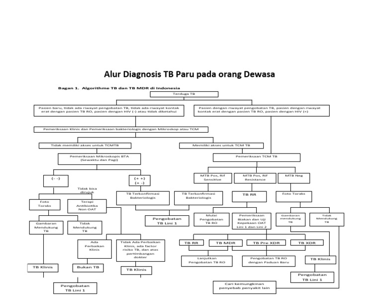 Alur Diagnosis TB Paru Pada Orang Dewasa | PDF