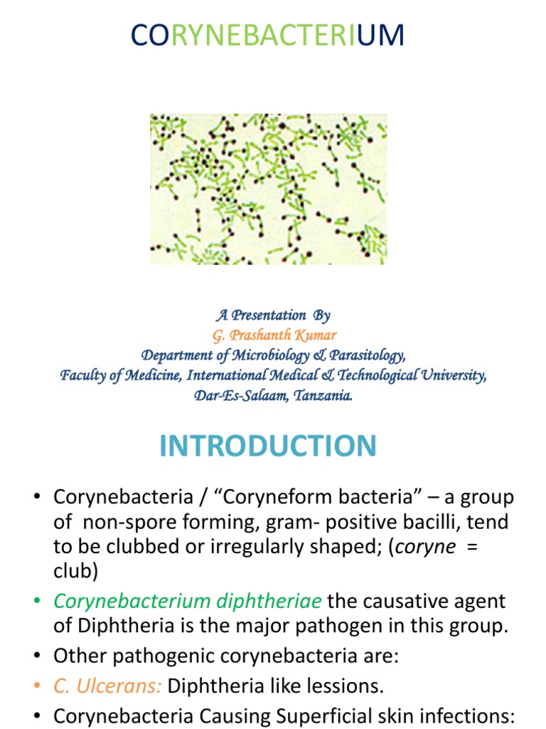 Corynebacterium Diphtheriae Chinese Letters