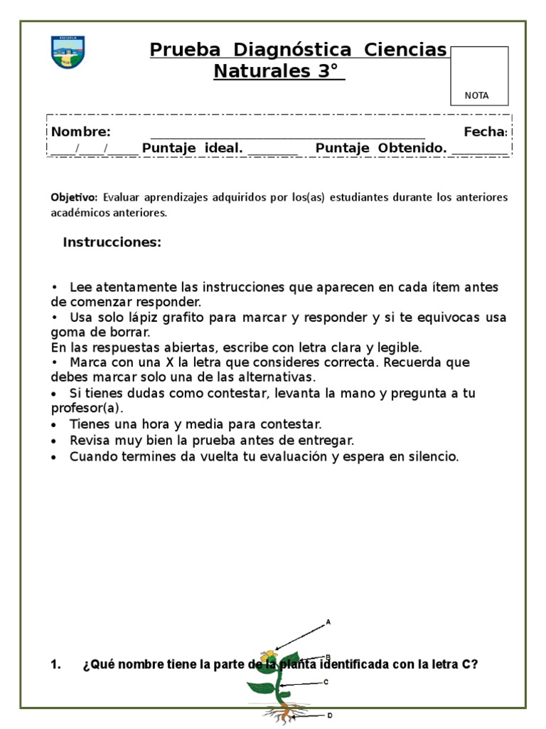 Prueba Diagnóstica Ciencias Naturales 3° | PDF | Ligero | Luna