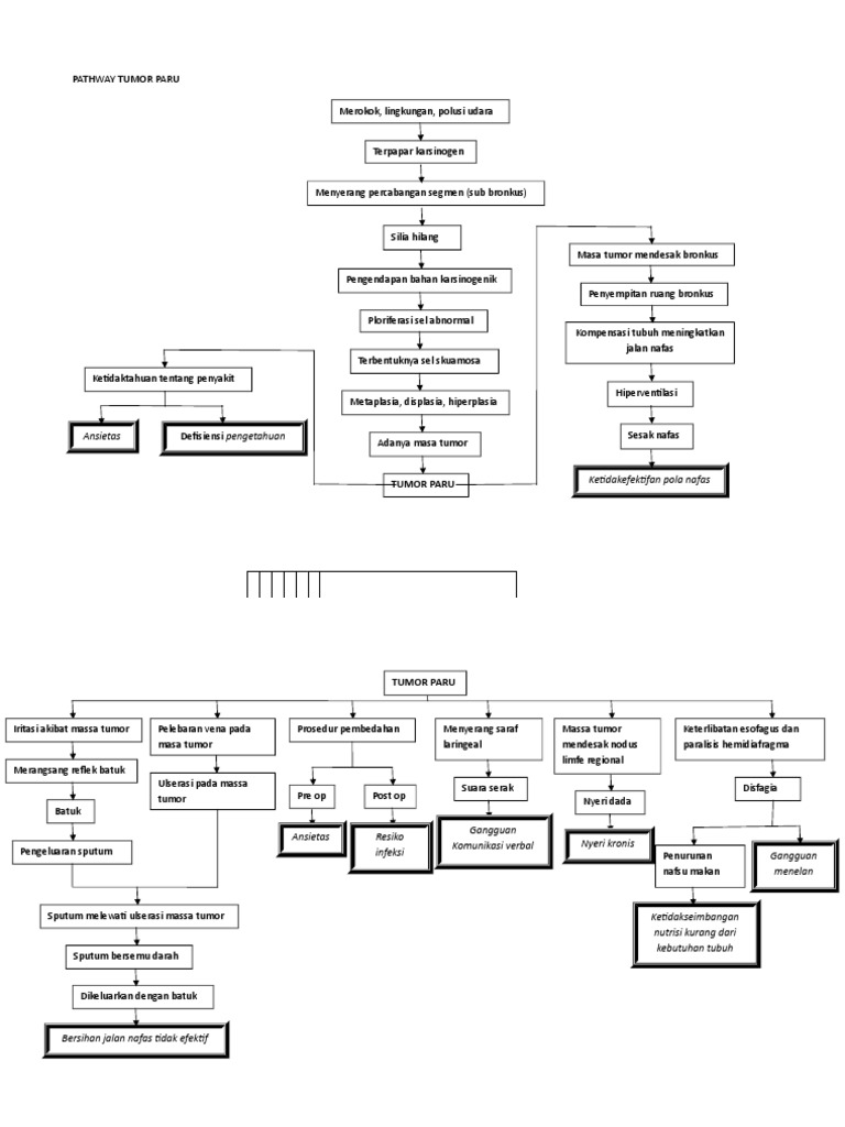 Pathway Tumor Paru | PDF