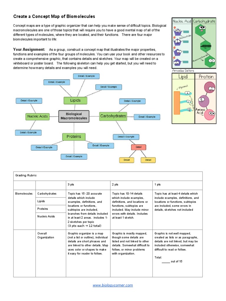 Macromolecules Concept Map