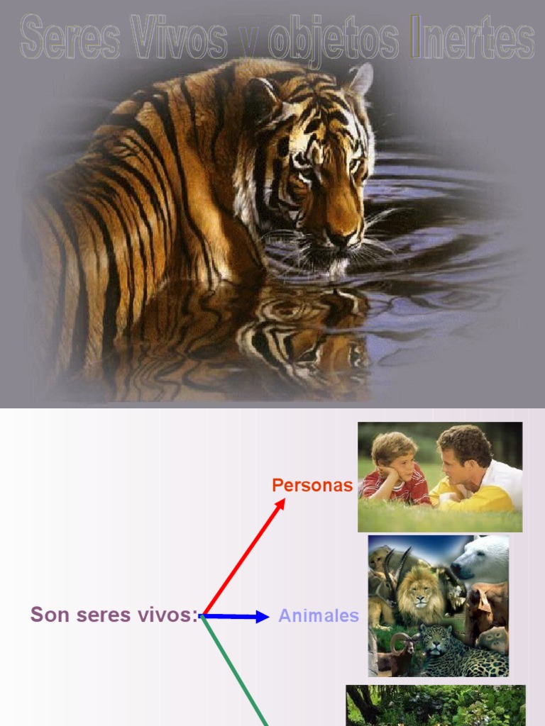 Los Seres Vivos y No Vivos | PDF