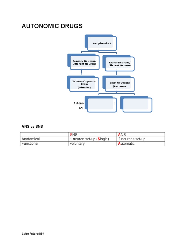 Autonomic Drugs | PDF | Autonomic Nervous System | Acetylcholine