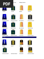 Ranks of PNP BFP BJMP Afp | PDF