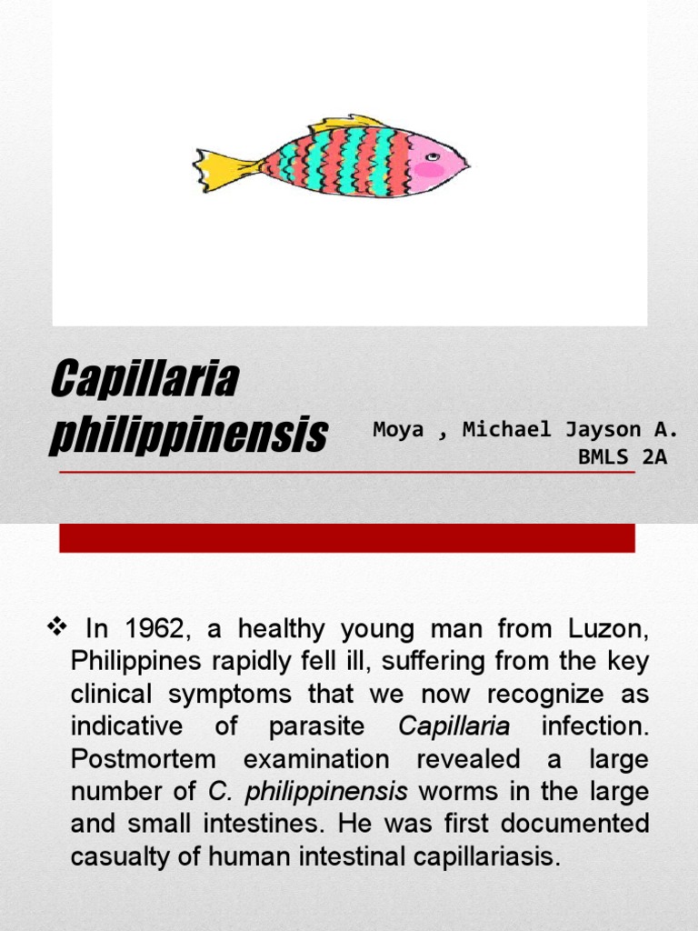Capillaria Philippinensis | PDF | Immunology | Parasitology