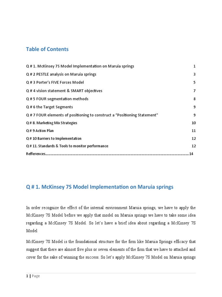 Marketing Assignment | PDF | Market Segmentation | Target Audience