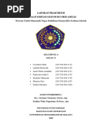 Formulasi Emulsi Oleum Ricini | PDF