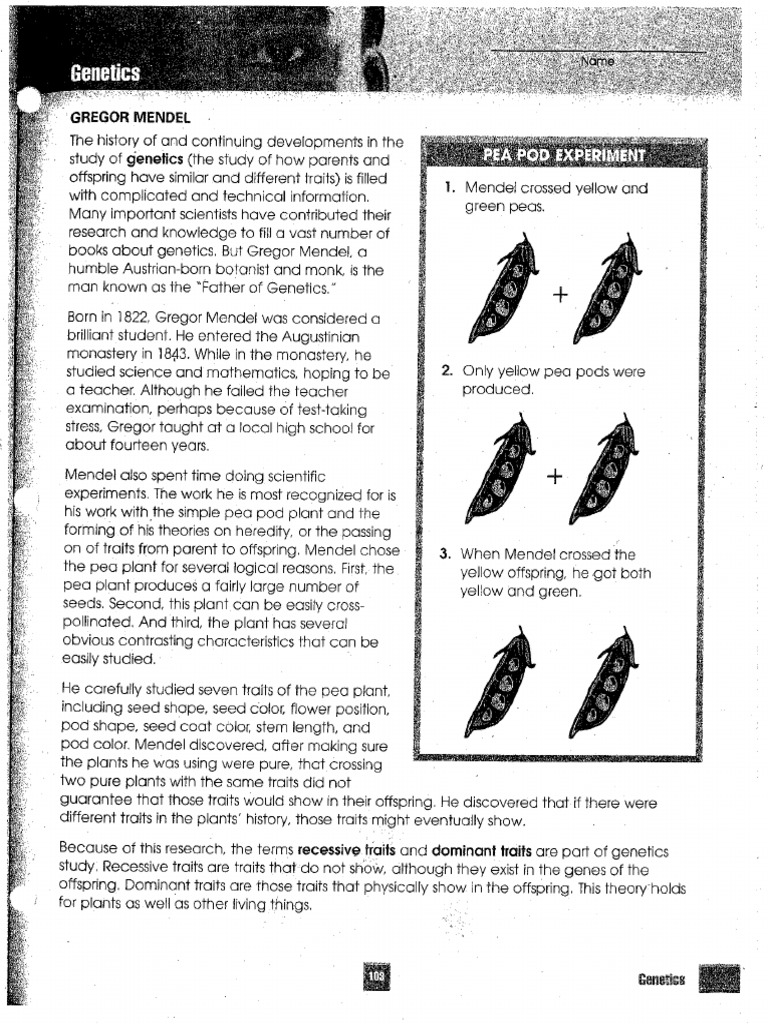 Gregor Mendel Article and Questions | PDF