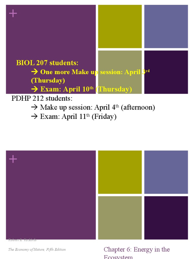 BIOL 207 Students:: Exam: April 10 | PDF | Ecosystem | Primary Production