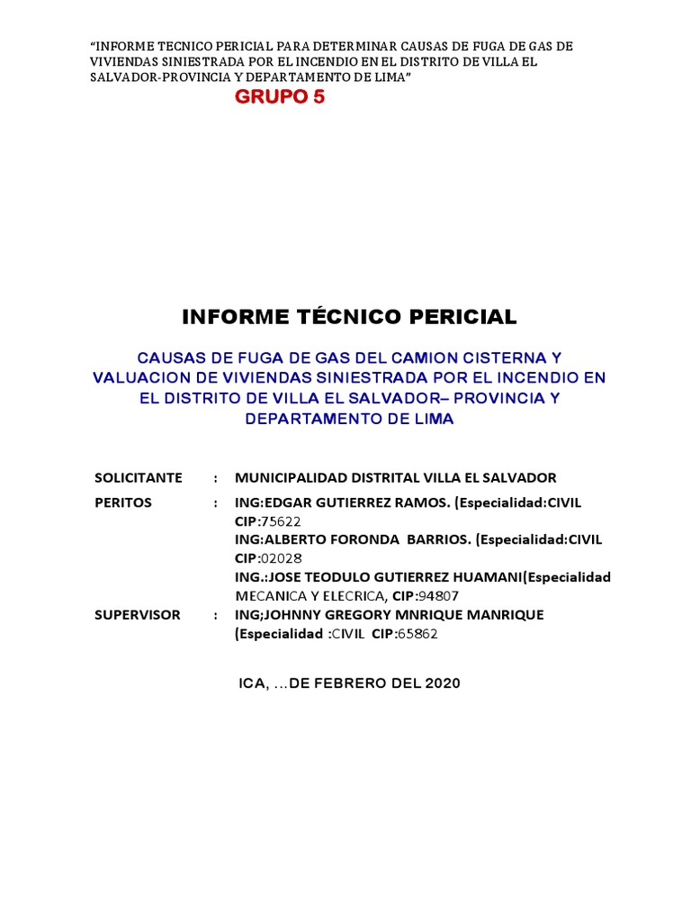 Informe Técnico Pericial - Modelo | PDF | Experto | Science