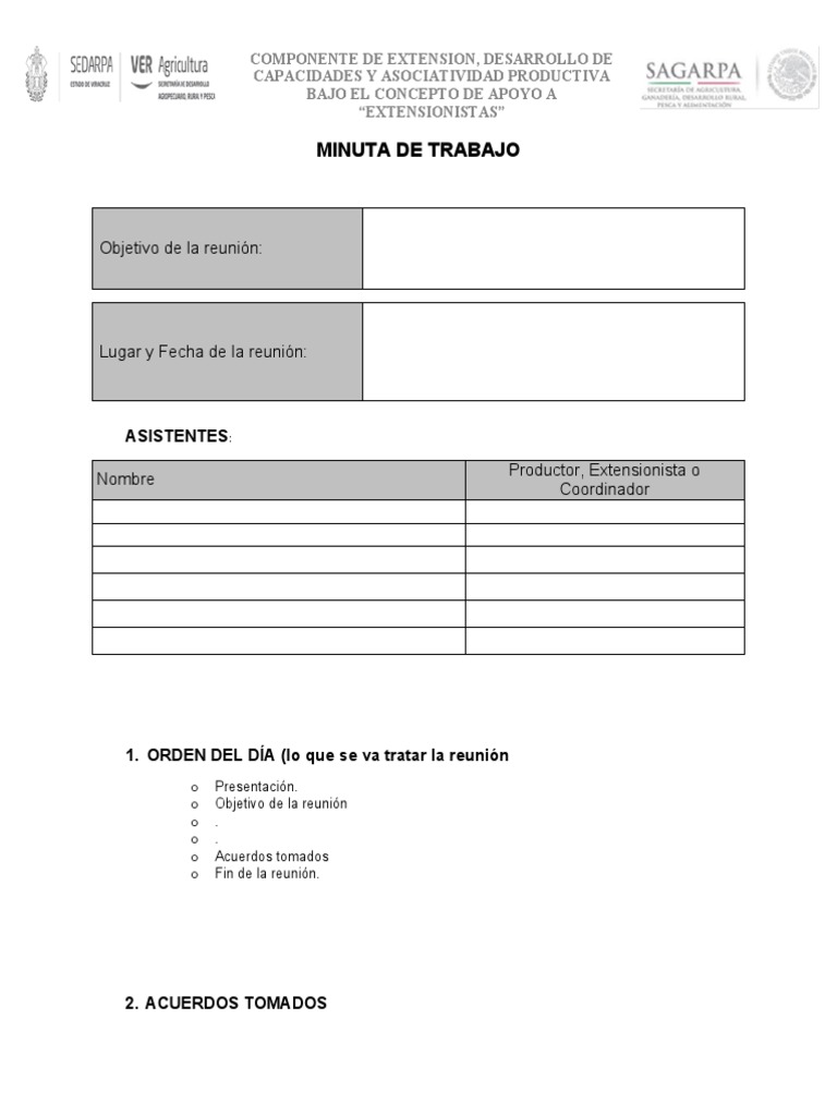 Formato Minuta General | PDF