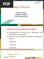 Clasificación de Los Suelos Según USDA | PDF | Suelo | Arcilla