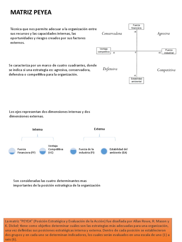 Matriz Peyea | PDF | Producto (Negocio) | Mercado (economía)
