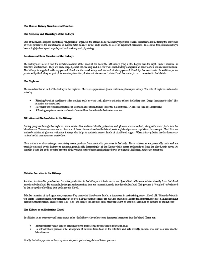 The Human Kidney Structure and Function: Anatomy, Nephrons, Filtration ...