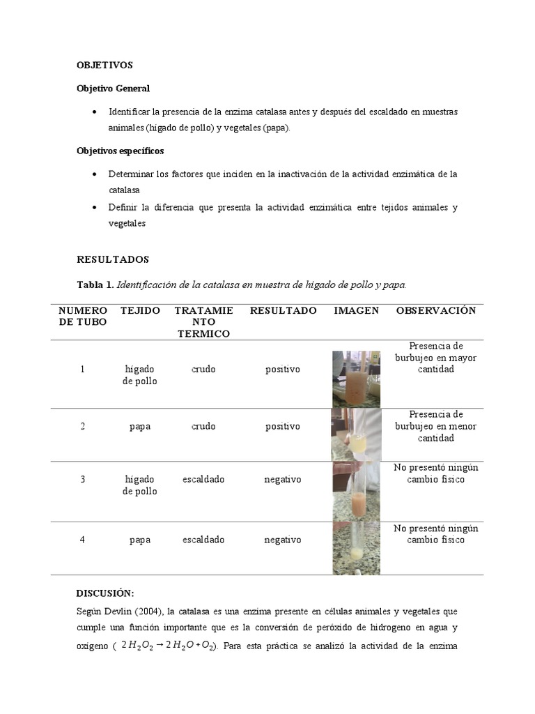 Bioqui 2 | PDF | Enzima | Catalasa