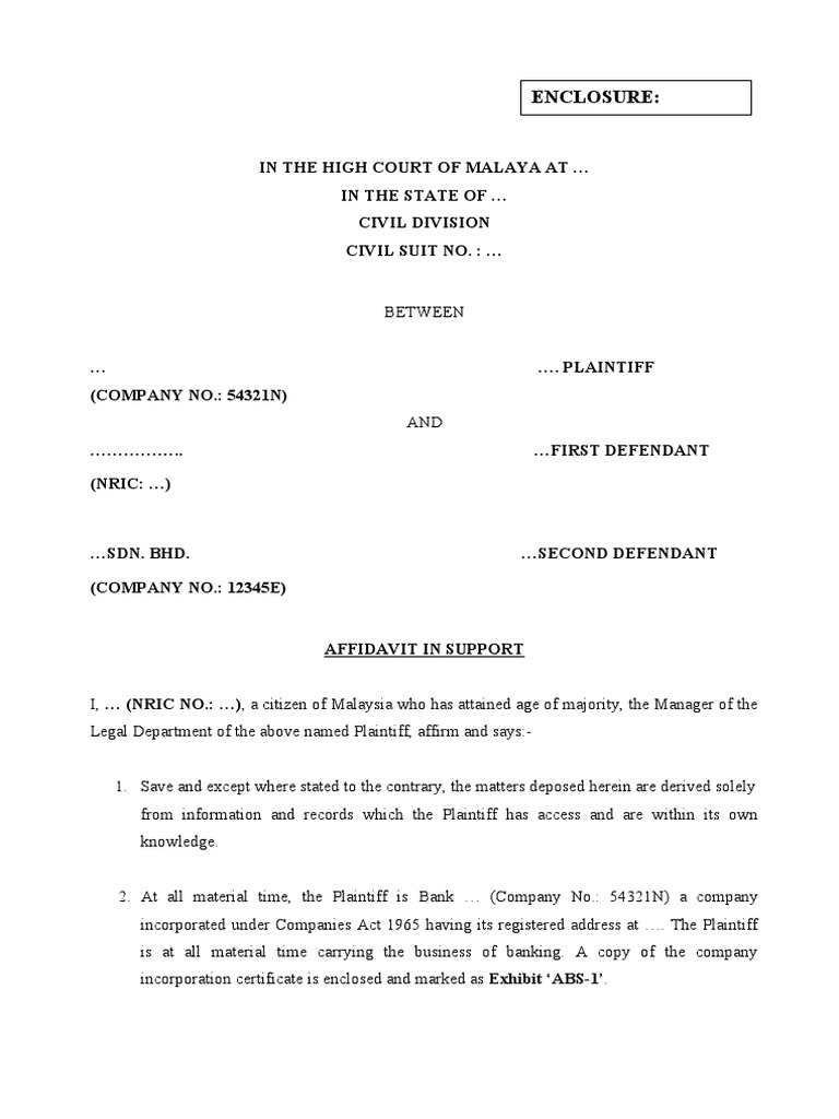 Affidavit Anton Piller Order | PDF | Public Law | Social Institutions