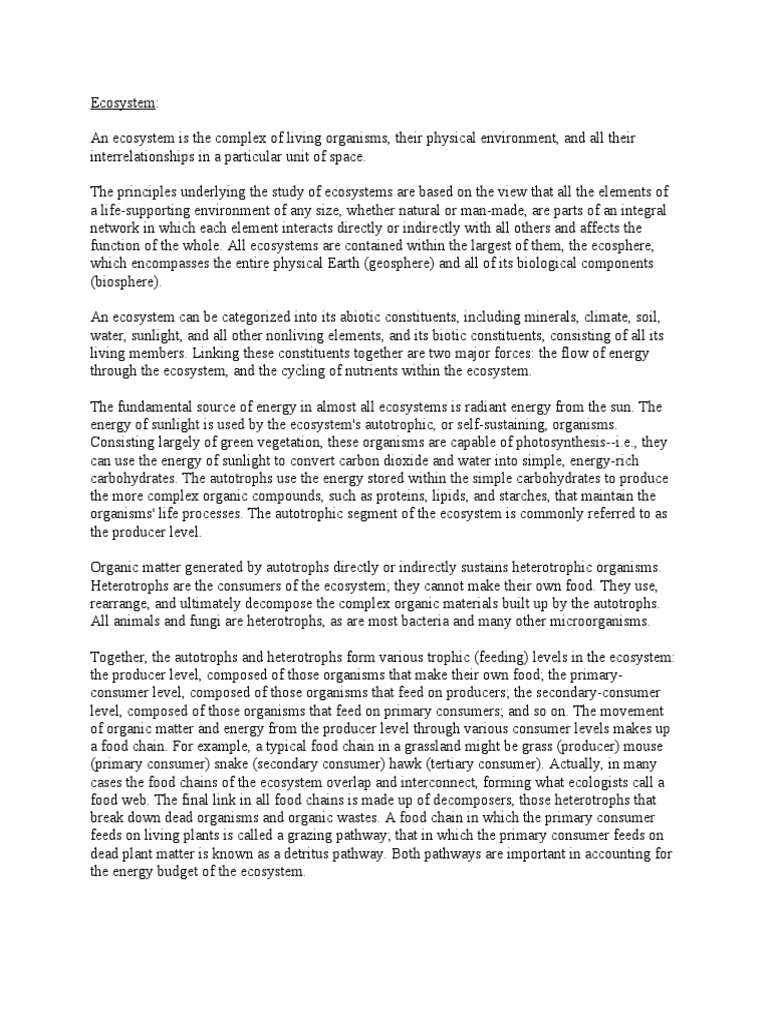 Ecosystem Essay | PDF | Ecosystem | Food Web