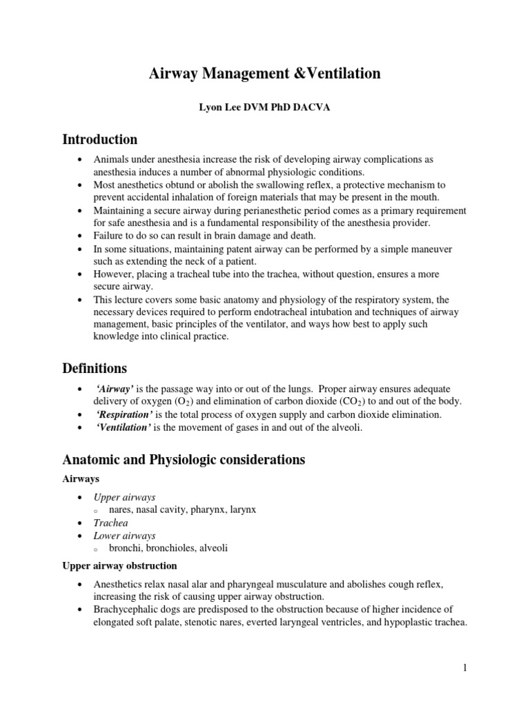 Airway Management Ventilation | PDF | Respiratory Tract | Respiratory ...