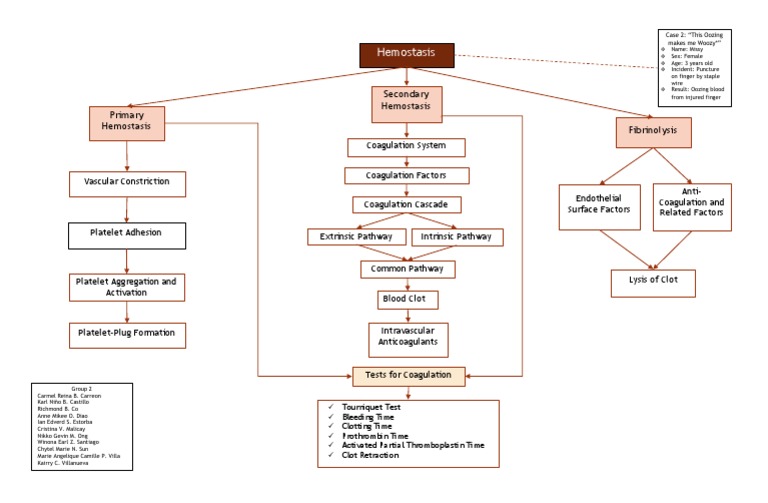 B4M1 Case 2 My Concept Map | PDF | Coagulation | Hemostasis