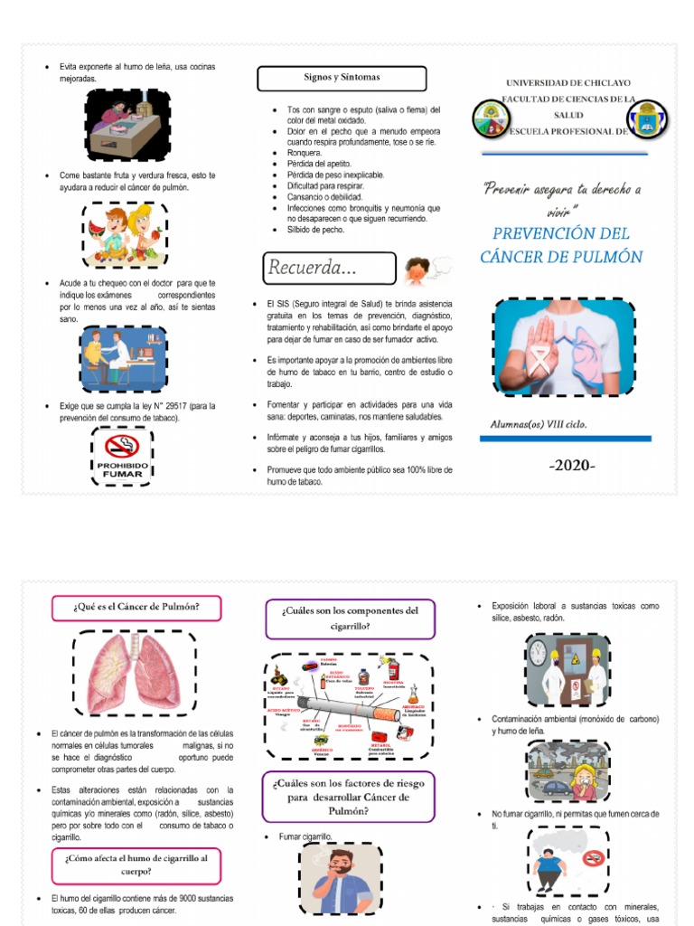 Triptico Pulmon | PDF | Nicotina | Cáncer de pulmón