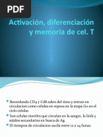 Condrogénesis y Crecimiento Del Cartílago | PDF