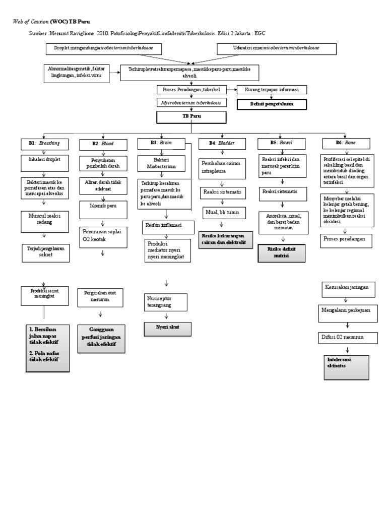WOC TB PARU (Repaired) - 1 | PDF