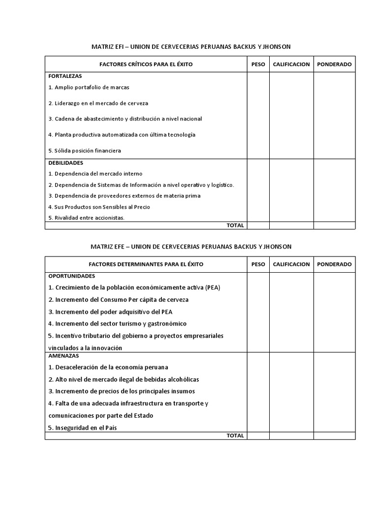 Matriz Efi | PDF