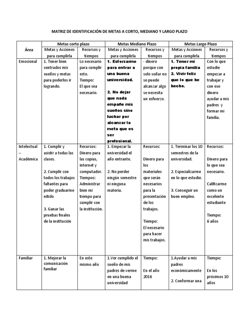 Matriz de Identificación de Metas | PDF