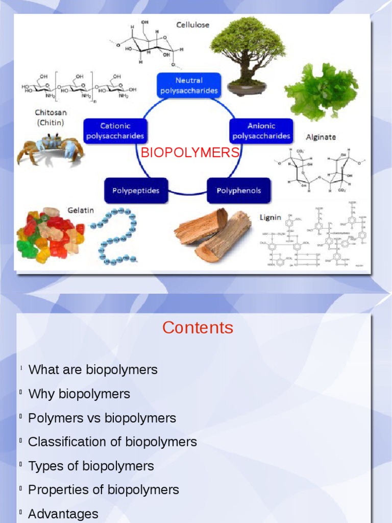Biopolymers | PDF | Biopolymer | Starch